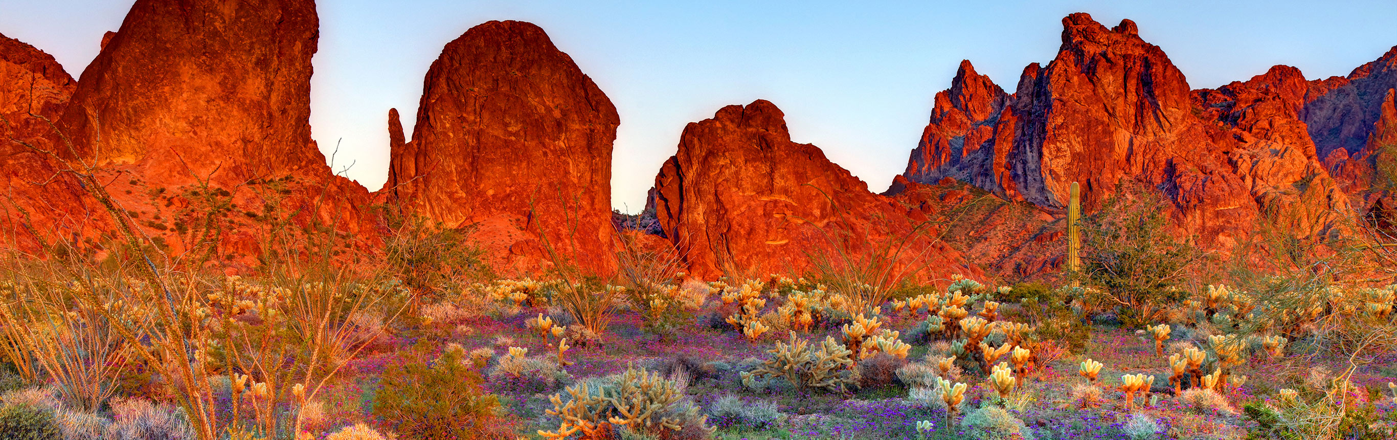 Southwest | RV Resorts in Southwest